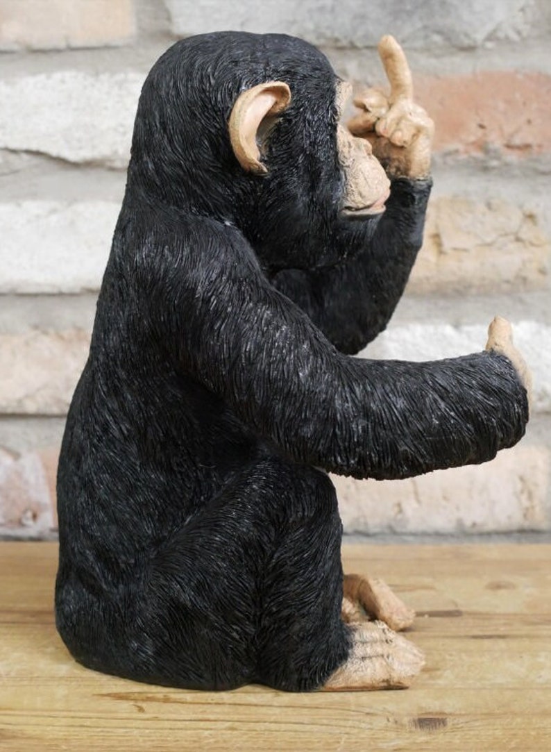 Middle Finger Monkey Wine Bottle Holder | Cheeky Monkey | Rude Gestured ...
