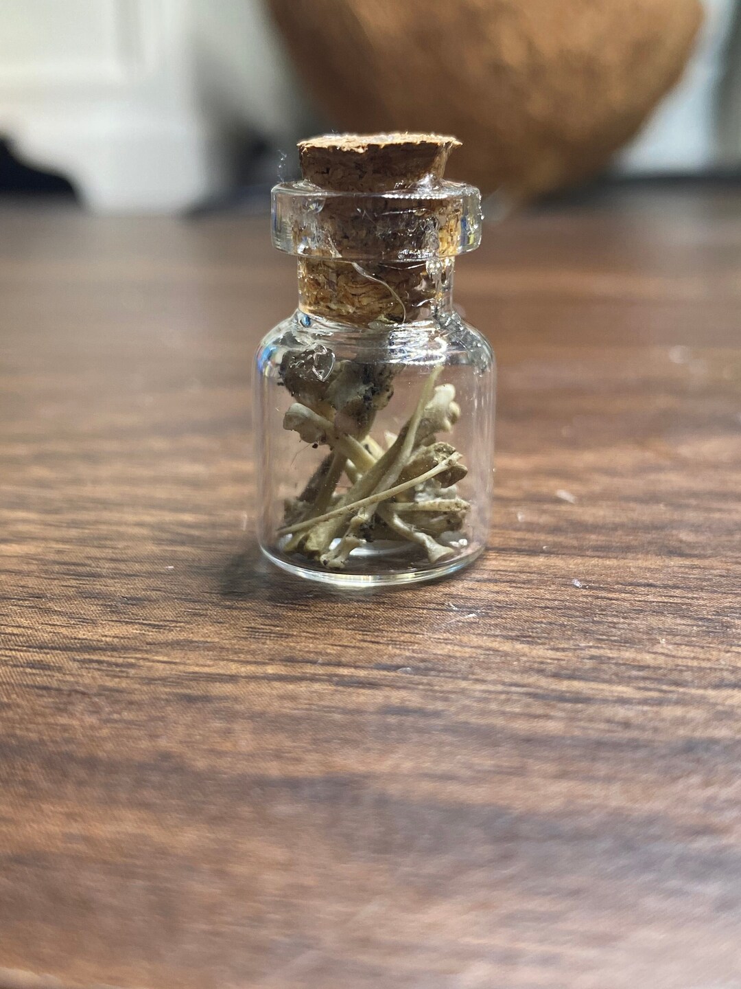 Mini Bone Jars - Etsy