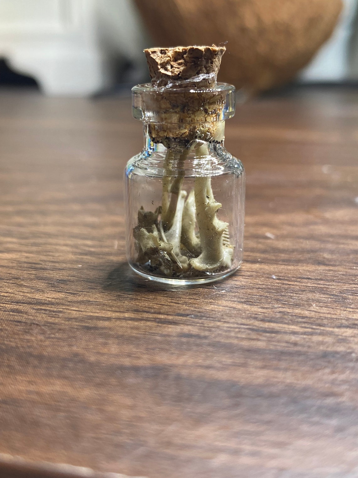 Mini Bone Jars - Etsy