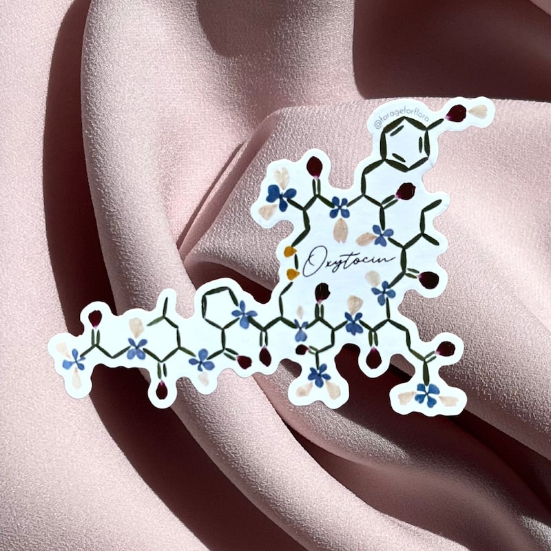 Vinyl Obgyn Stickers - Etsy