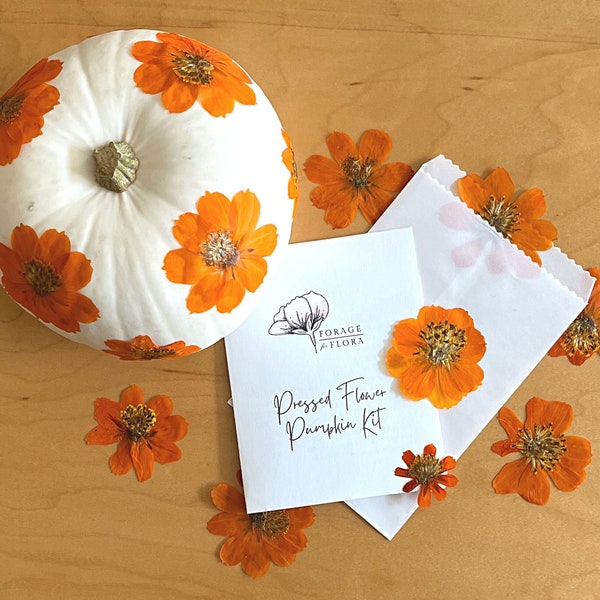 Pumpkin Decorating Kit - Etsy