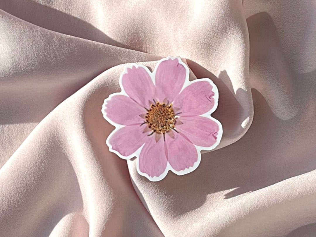 Purple Cosmos Flower Sticker, October Birth Flower, Floral Design - Etsy