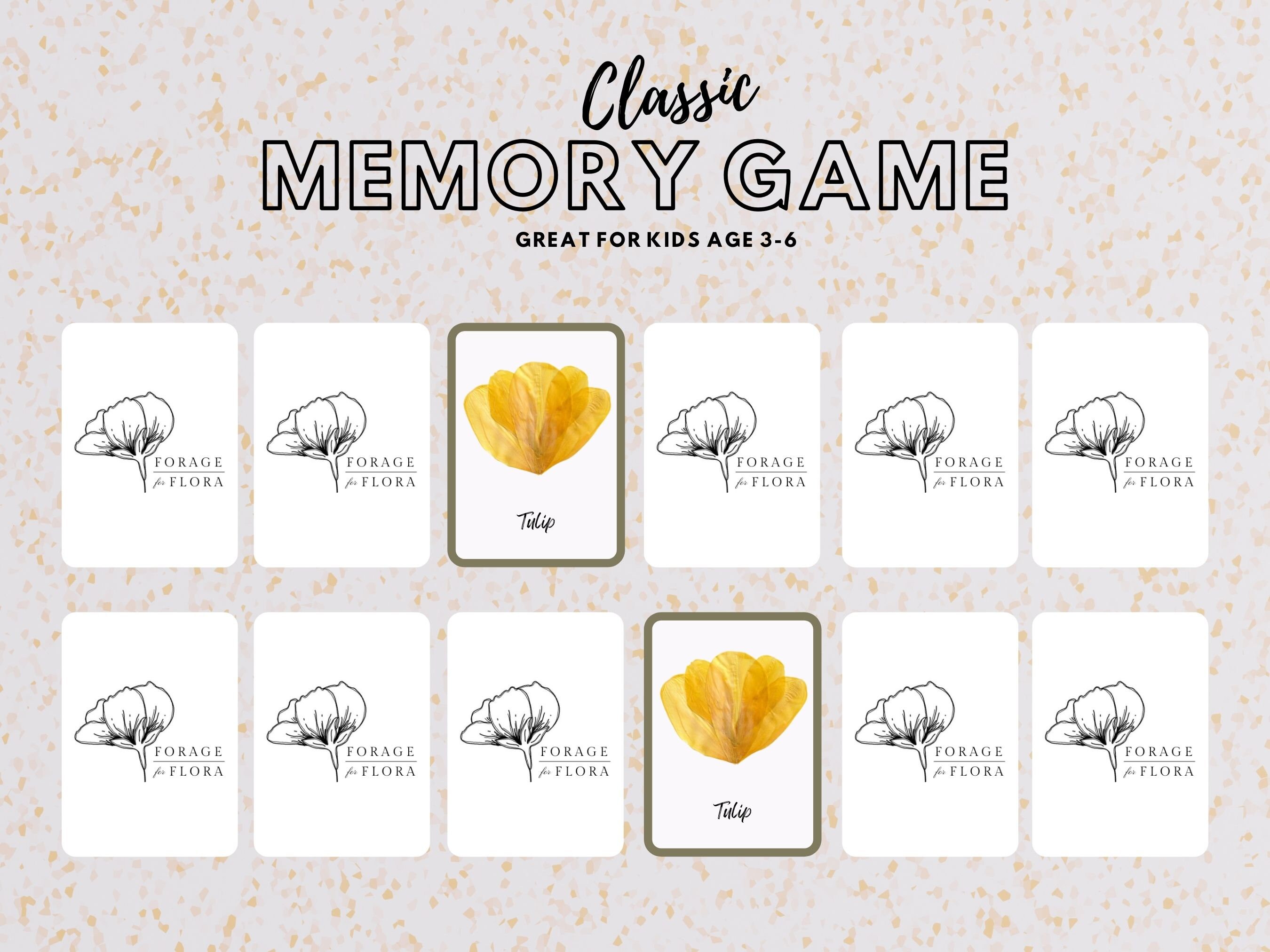 Pressed Flower Memory Game for Kids, Homeschool Matching Activity ...