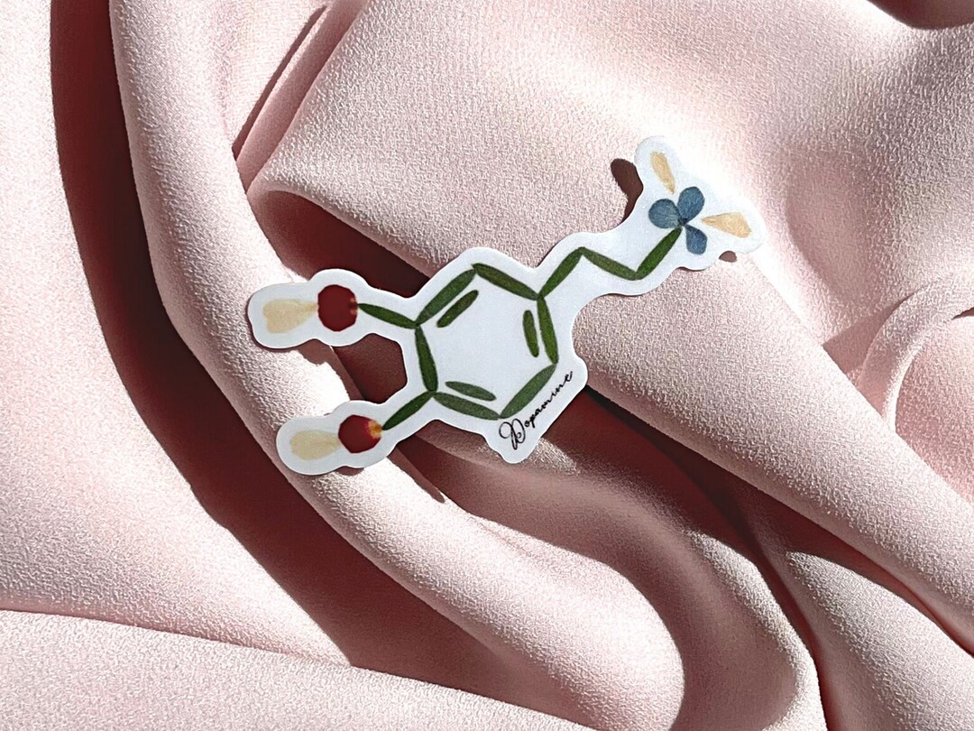 Dopamine Vinyl Laptop Stickers, Floral Sticker With Pressed Flower ...