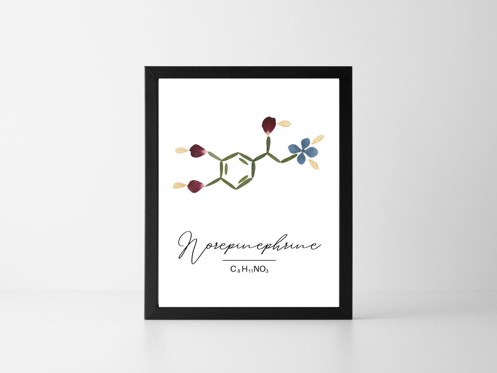 PRINTABLE Norepinephrine Neuroscience Art Made With Pressed Flowers ...