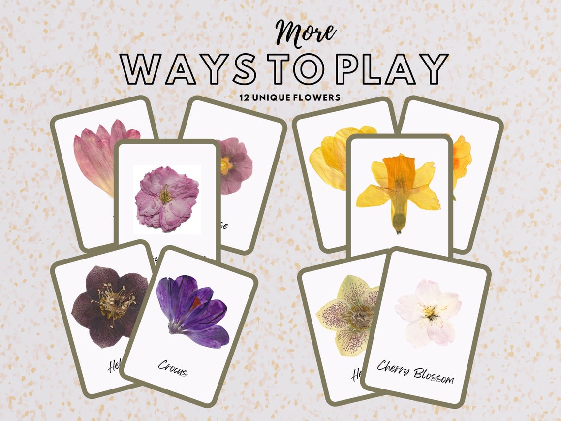 PRINTABLE Educational Flower Memory Game for Kids Pressed - Etsy