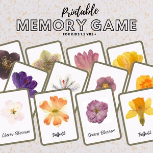 PRINTABLE Educational Flower Memory Game for Kids, Pressed Flower ...