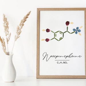PRINTABLE Norepinephrine Neuroscience Art Made With Pressed Flowers ...