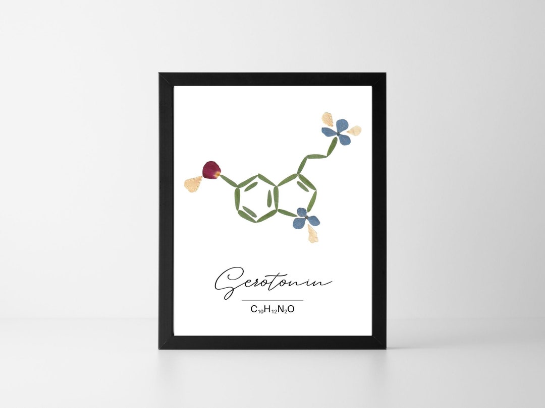 PRINTABLE Serotonin Office Wall Art Made With Pressed Flowers, Pressed ...