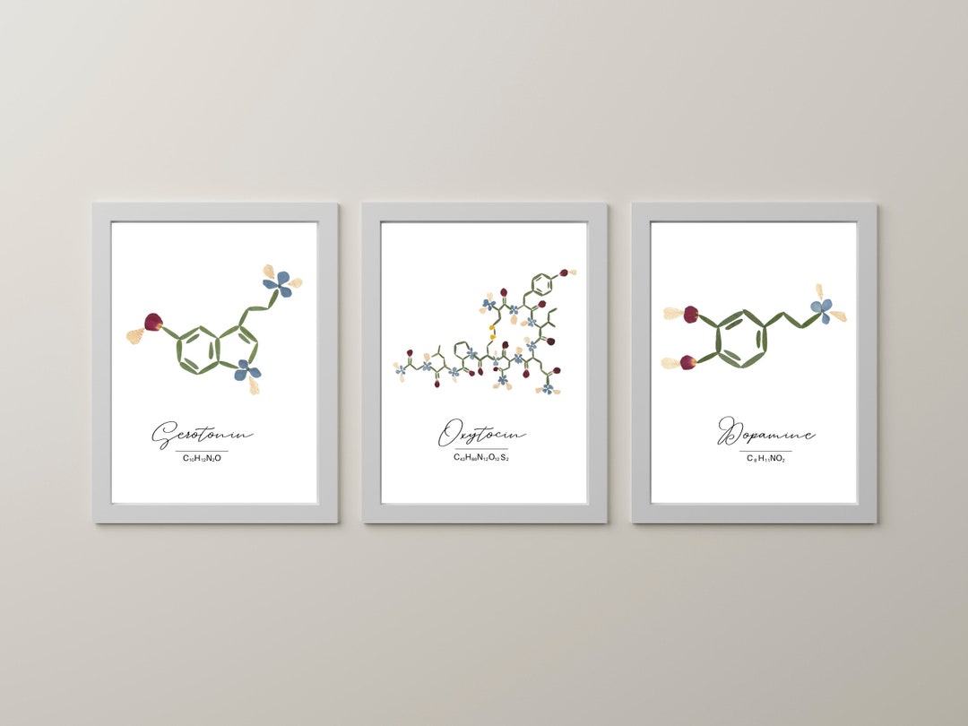Pressed Flower Molecule Prints, Serotonin, Oxytocin, Dopamine Art Set ...