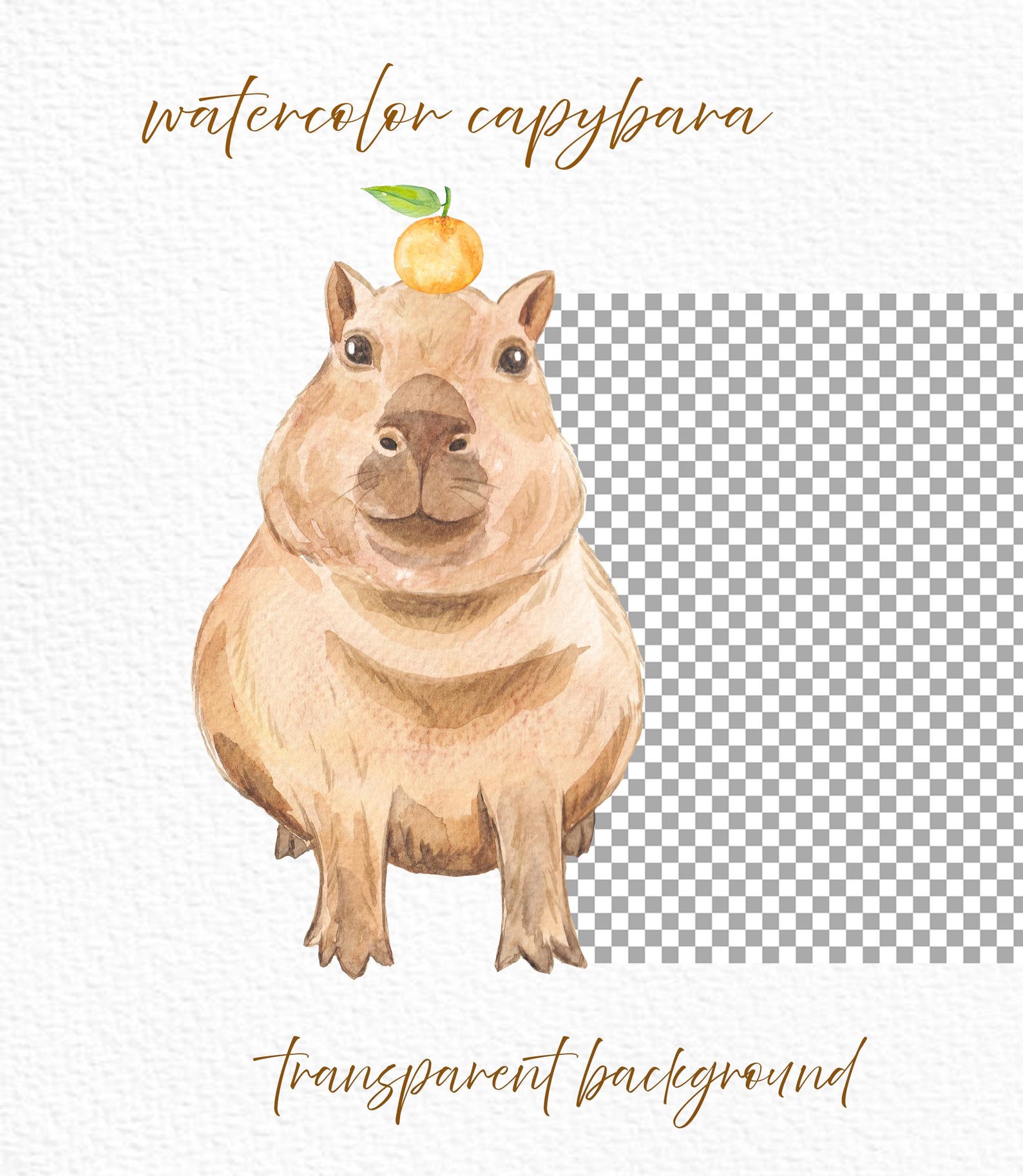 Watercolor Capybara Clipart, Cute Capybara PNG, Cute Capybaras, Kids ...