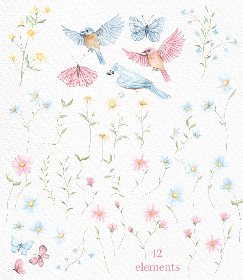 Watercolor Spring Florals Clipart: Birds, Butterflies, Flowers (PNG ...