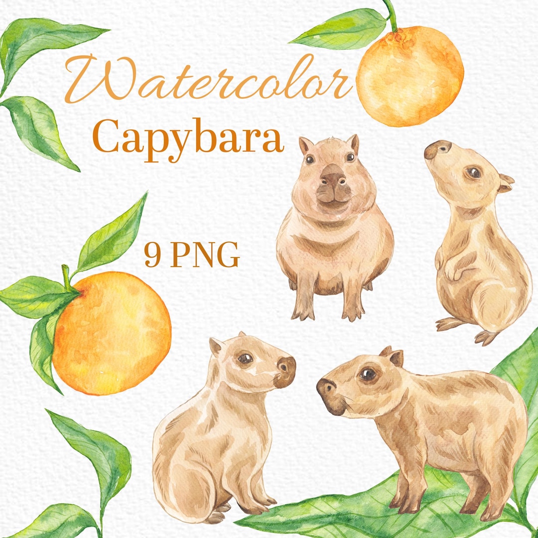 Watercolor Capybara Clipart, Cute Capybara PNG, Cute Capybaras, Kids ...