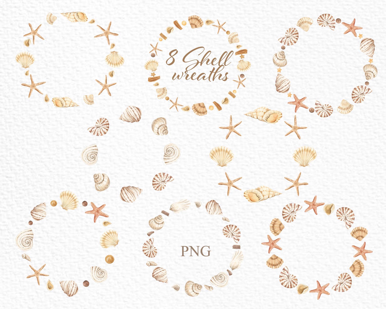 Watercolor Shell Clipart: Boho Ocean Wreaths & Patterns, Marine Life ...