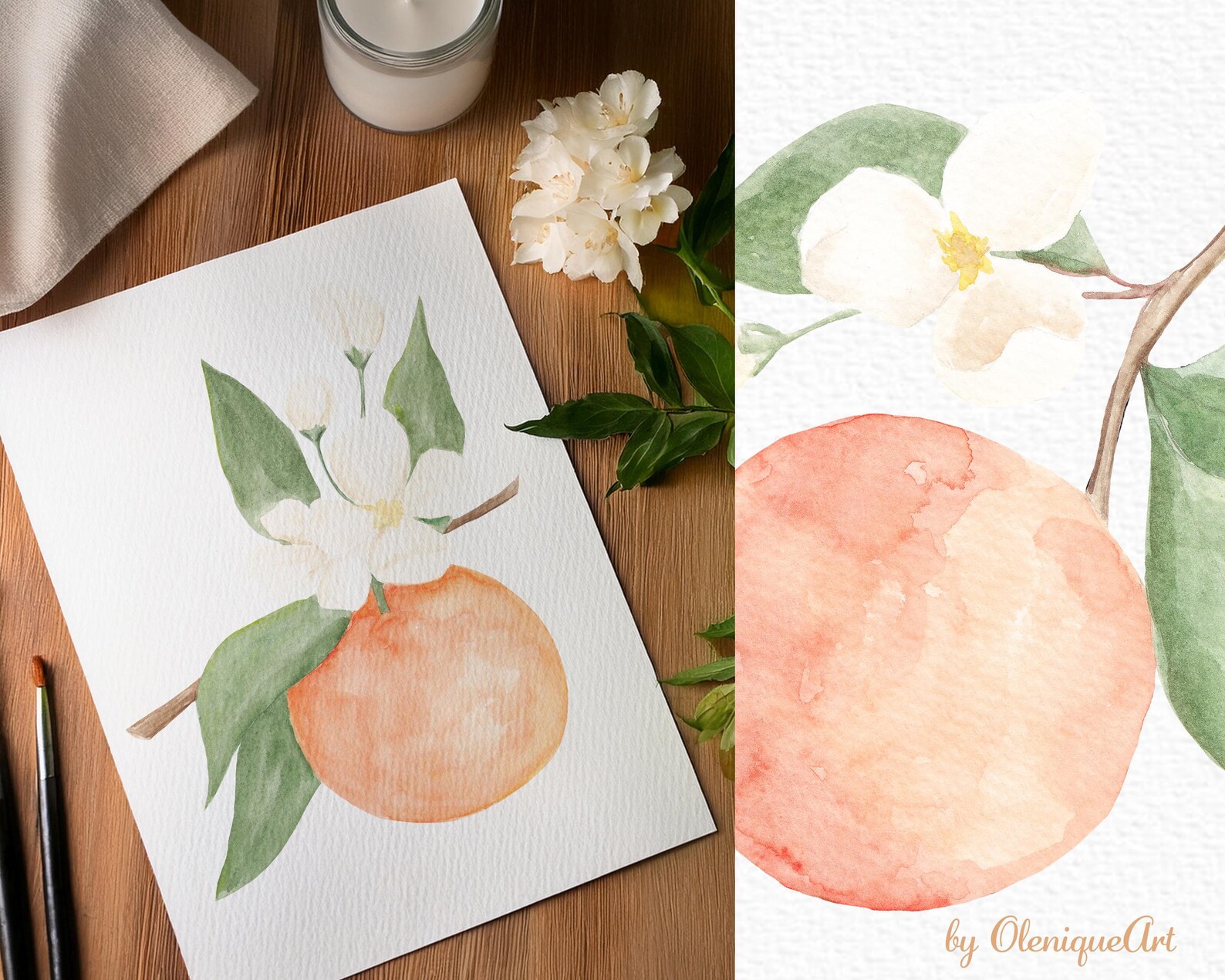 Watercolor Orange Clipart: Rustic Citrus Blossom PNG, Fruit Twig, Hand ...