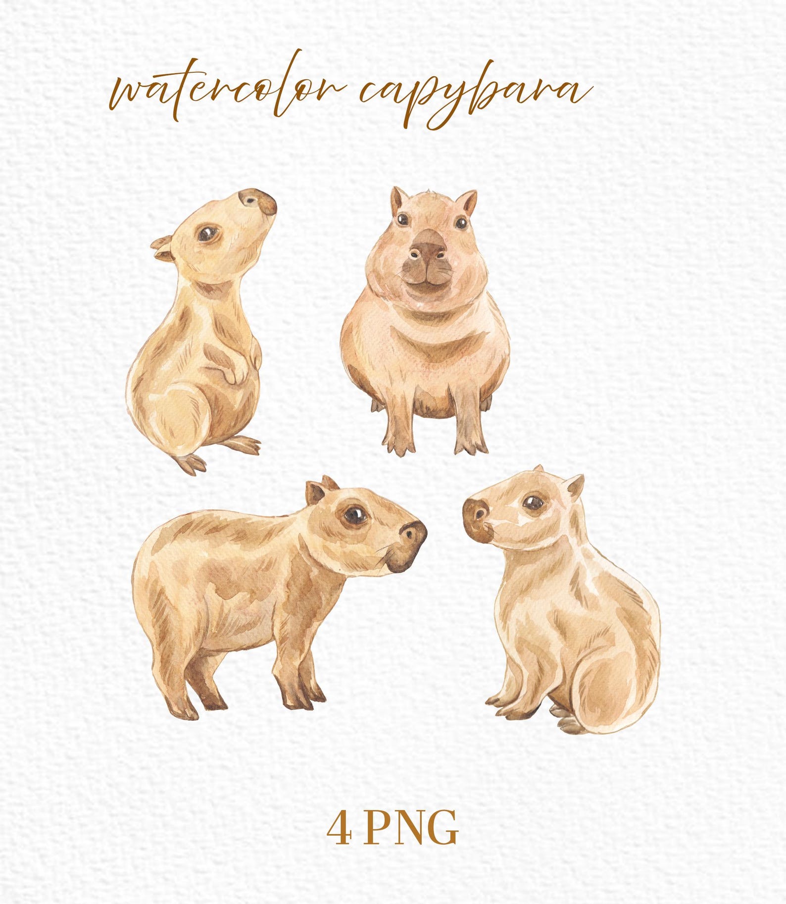 Watercolor Capybara Clipart, Cute Capybara PNG, Cute Capybaras, Kids ...