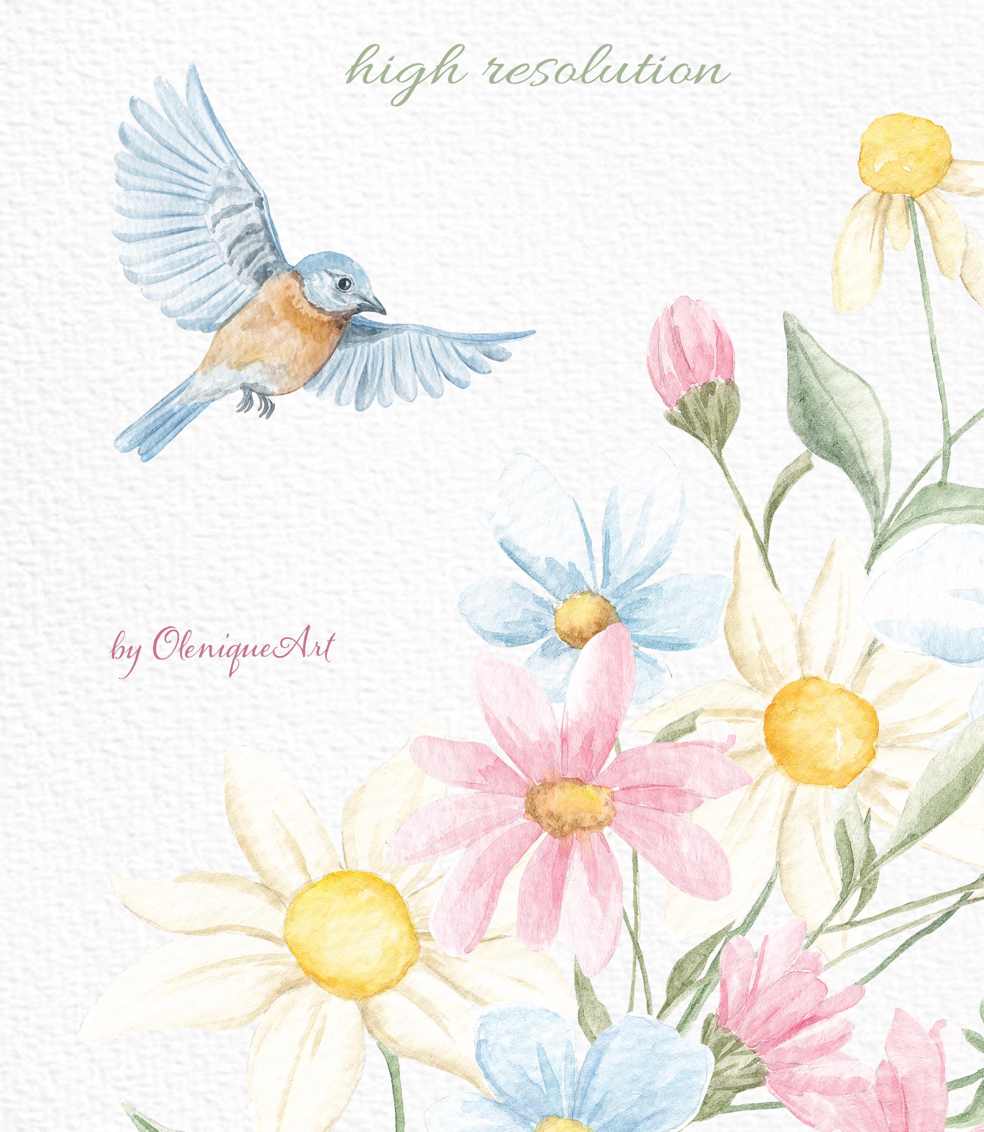 Watercolor Spring Florals Clipart: Birds, Butterflies, Flowers (PNG ...