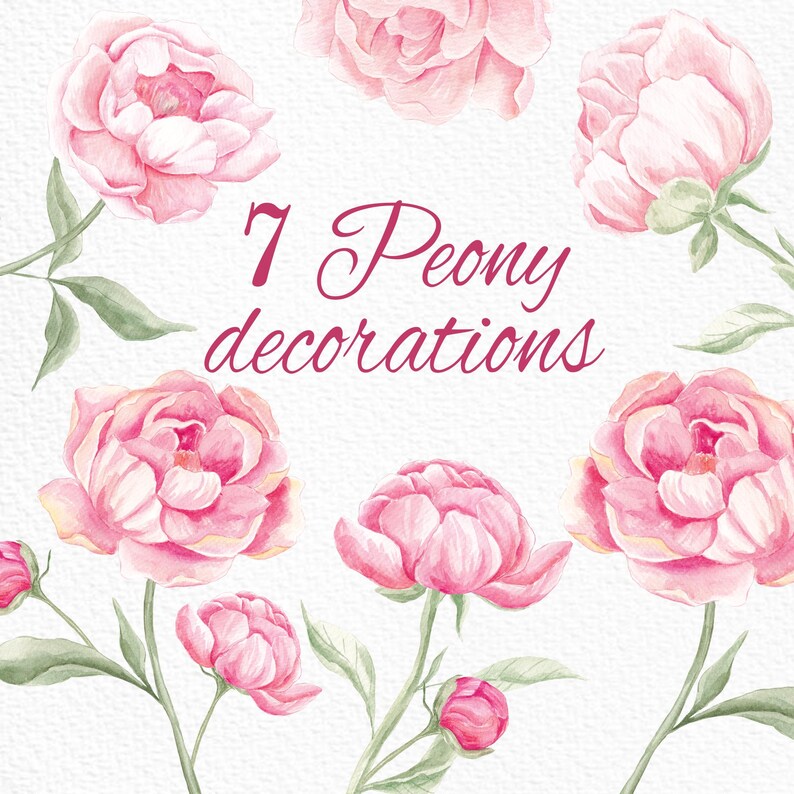 Watercolor Peonies, Png Clipart, Peony Flowers Clipart, Romantic ...