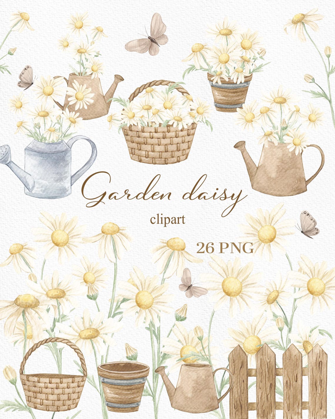 Watercolor Garden Daisy Elements and Compositions, Meadow Flowers ...