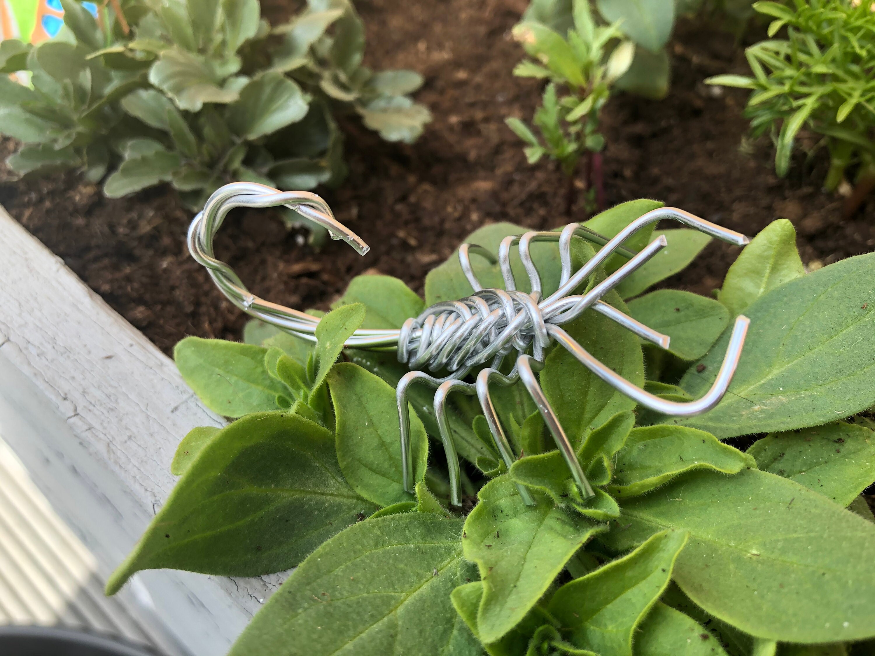 Handmade Wire Scorpion - Etsy