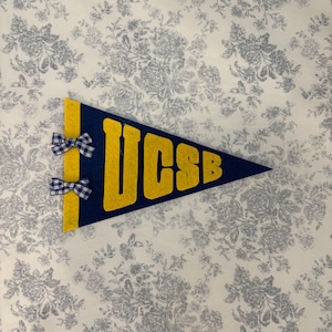 College Pennant Flag - Customizeable to Most Schools - Etsy