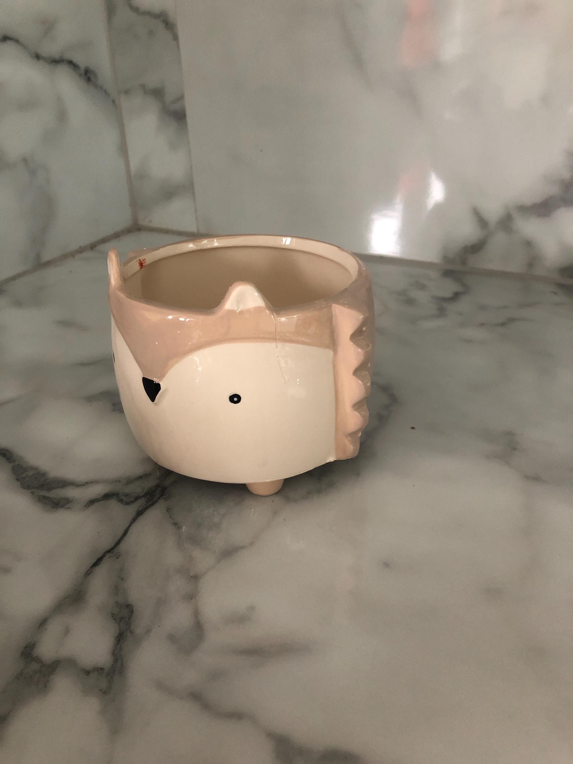 Ceramic Hedgehog Plant Pot: Novelty Indoor Planter - Etsy