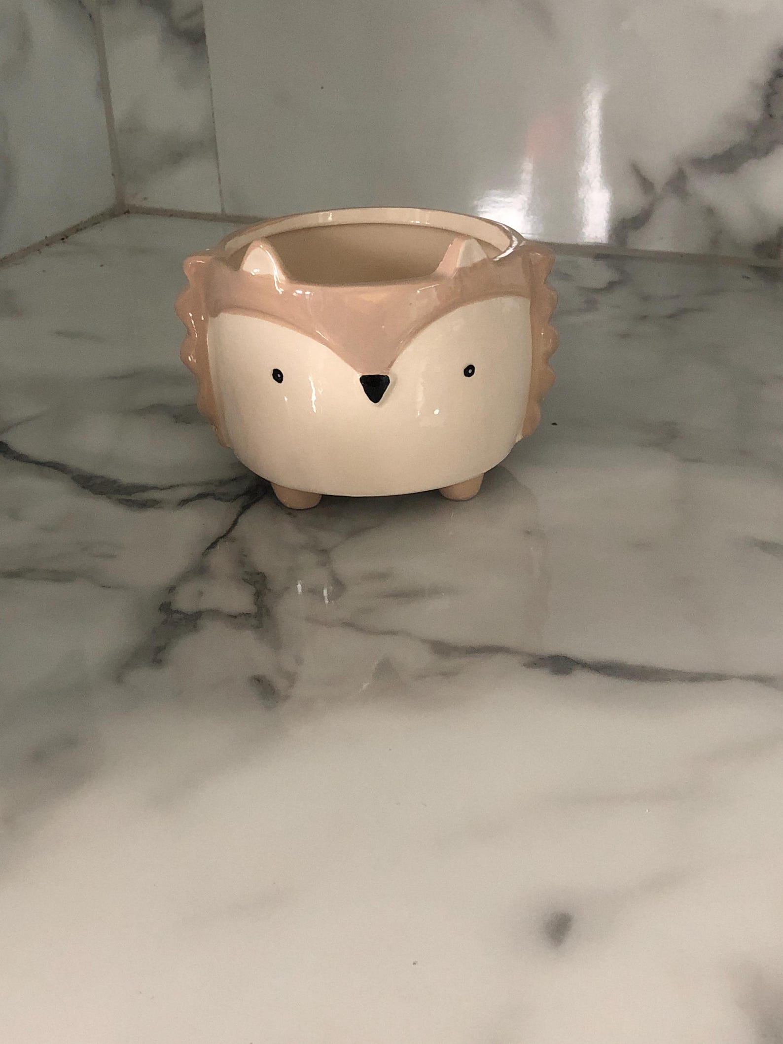 Ceramic Hedgehog Plant Pot: Novelty Indoor Planter - Etsy