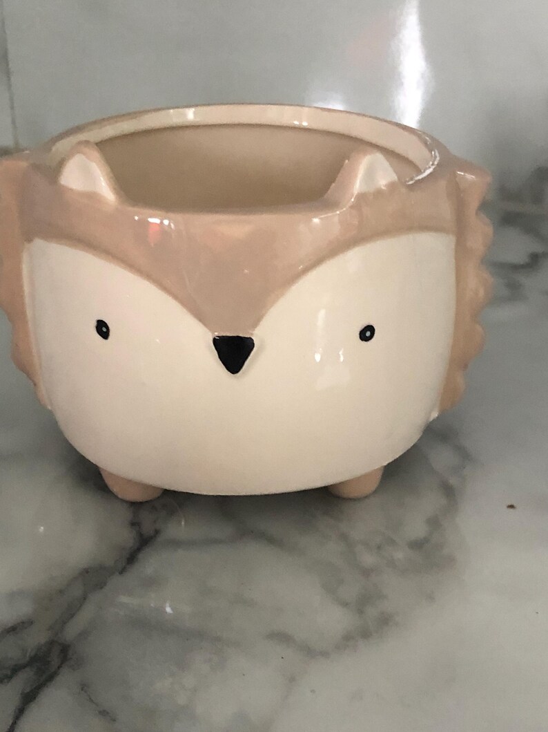 Ceramic Hedgehog Plant Pot: Novelty Indoor Planter - Etsy