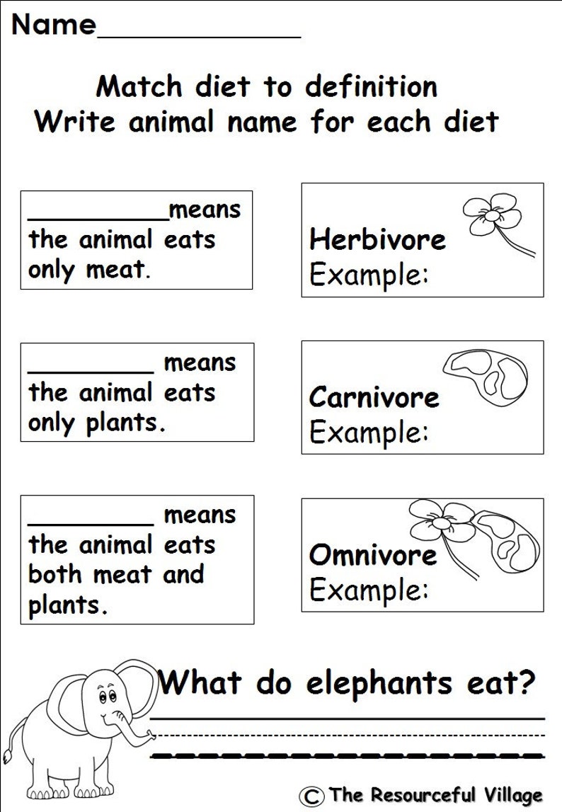 Kindergarten 1st Grade Animal Diet Activities Animal Unit - Etsy