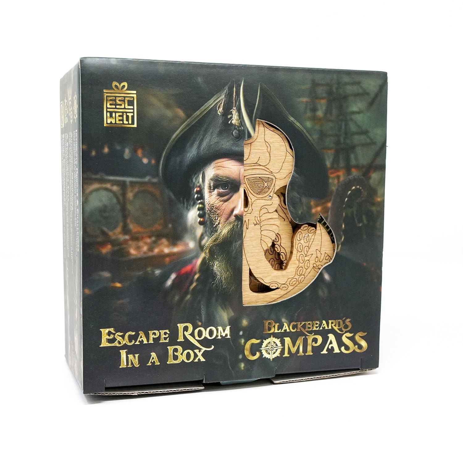 Blackbeard's Compass Puzzle - Challenging Multi Step Sequential Puzzle ...