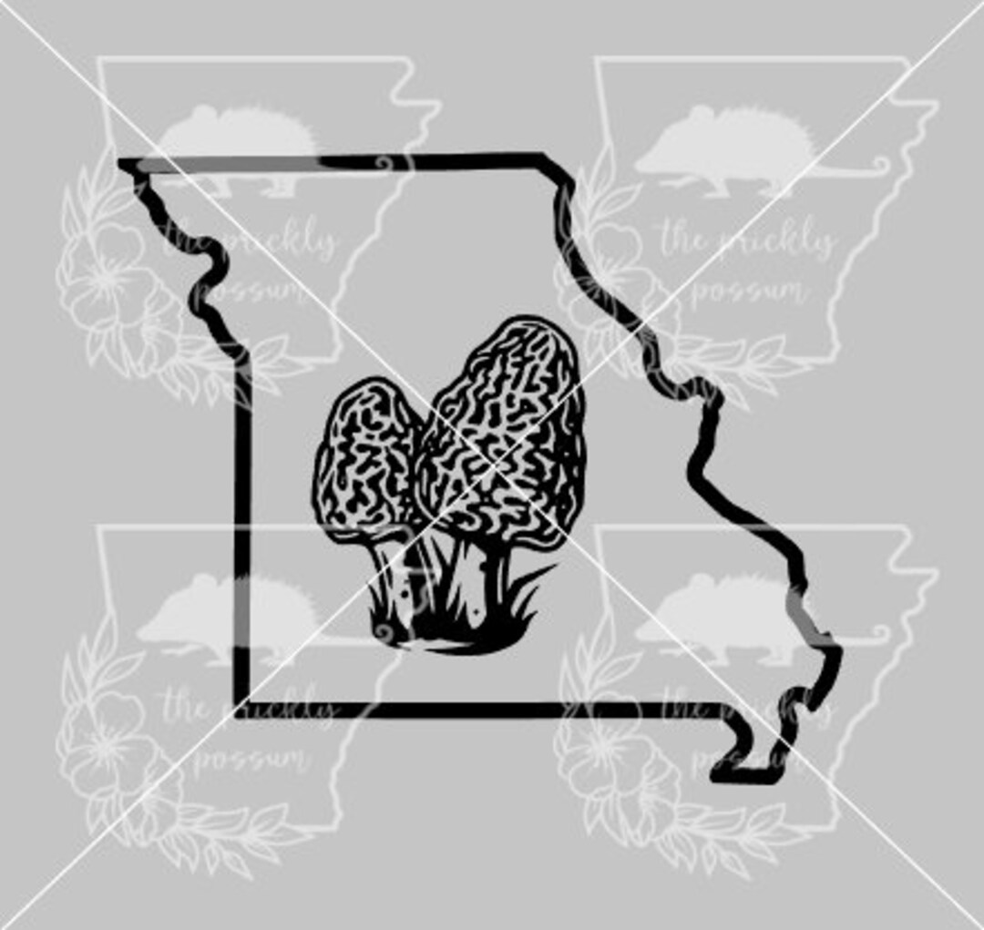 Missouri Morel Mushroom SVG - Etsy