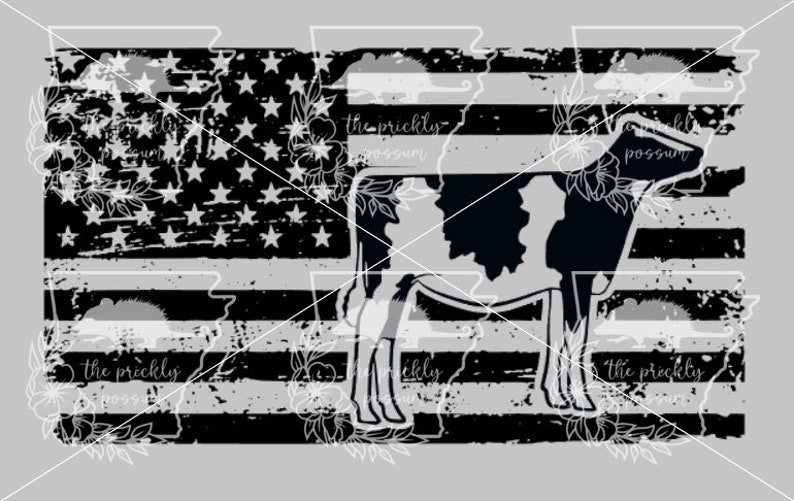 Dairy Show Calf Svg - Etsy