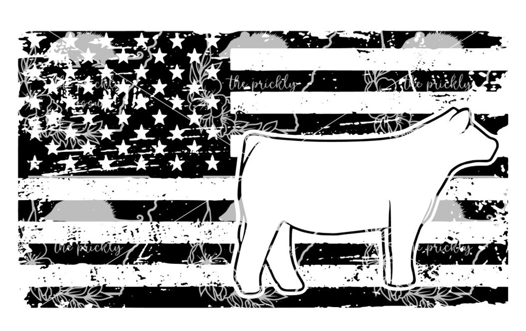 Heifer Show Flag SVG - Etsy