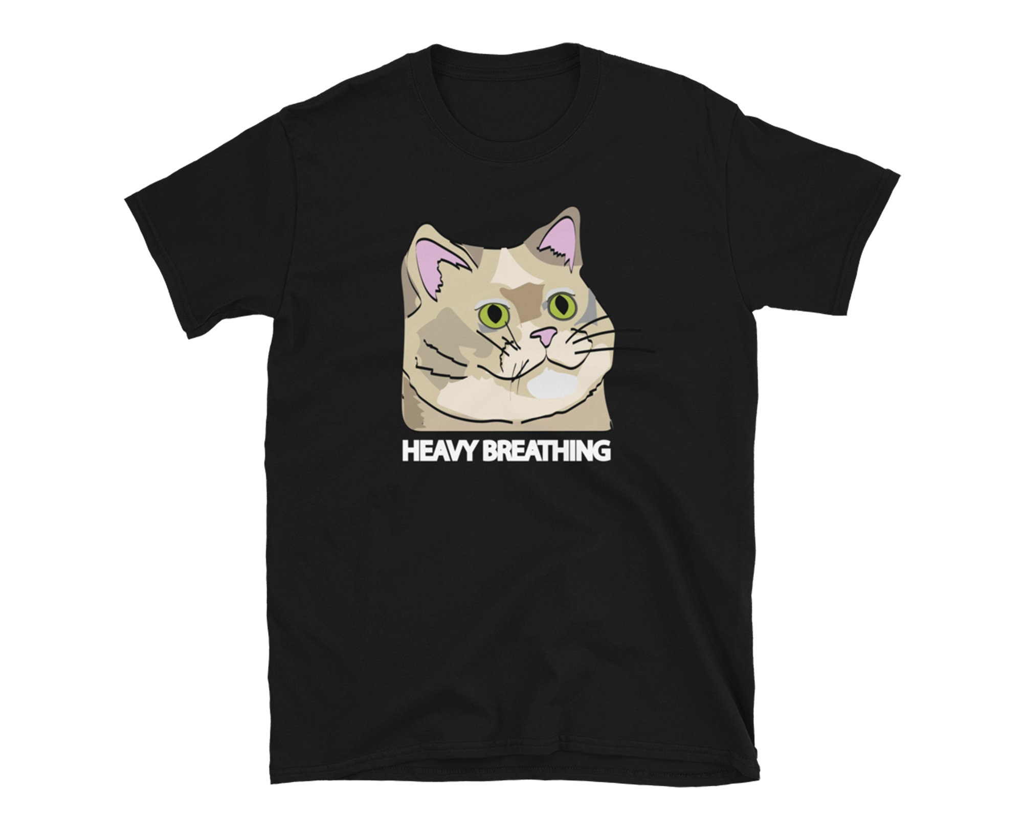 Breathing Intensifies Cat Meme