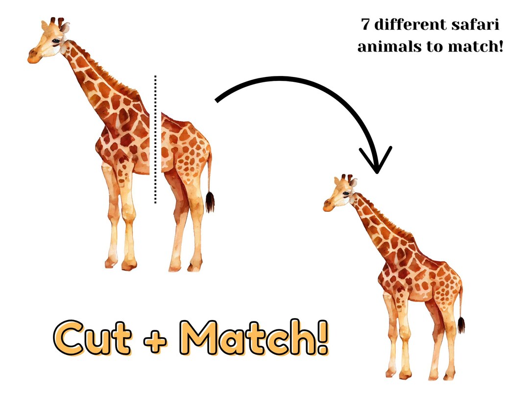 Safari Animal Cut and Match Printable – Preschool & Kindergarten ...