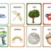 Nature Flashcards for Kids | Montessori Flashcards | Nature Education ...