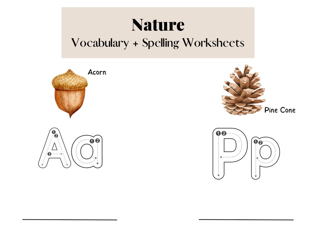 Nature Vocabulary Worksheet | Nature Spelling Worksheet | Spelling ...