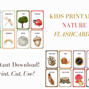 Nature Flashcards for Kids | Montessori Flashcards | Nature Education ...