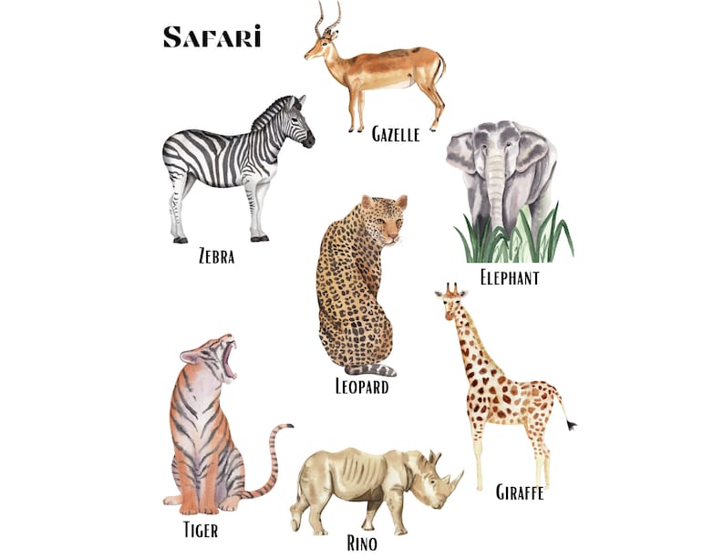 Safari Animals Poster Printable, Homeschool Education, Printable Wall ...