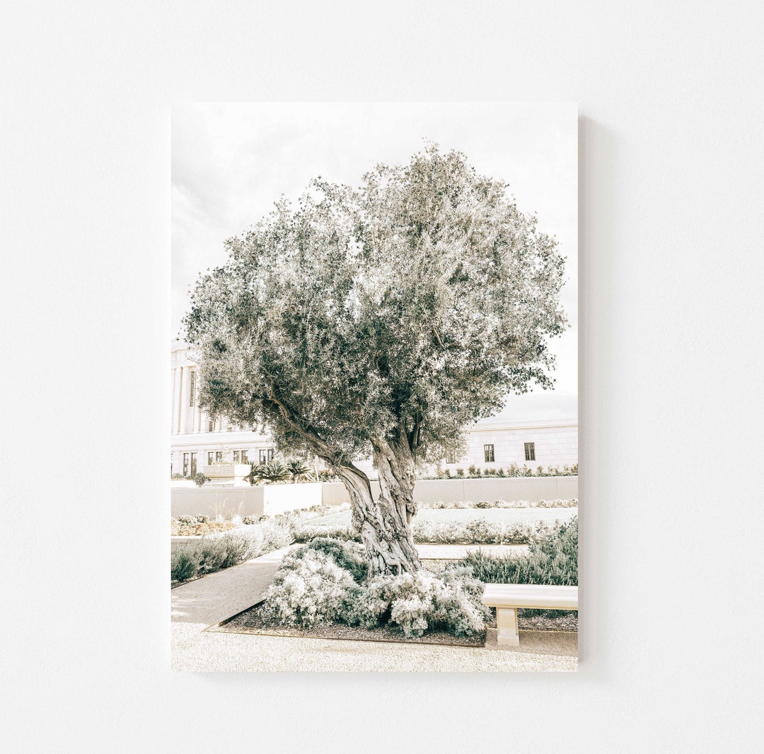 Ancestor Tree, LDS Temple, Digital Temple Image, Fam History, Artistic ...