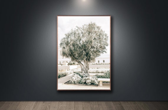 Tree Roots LDS Temple Digital Print Family History | Etsy