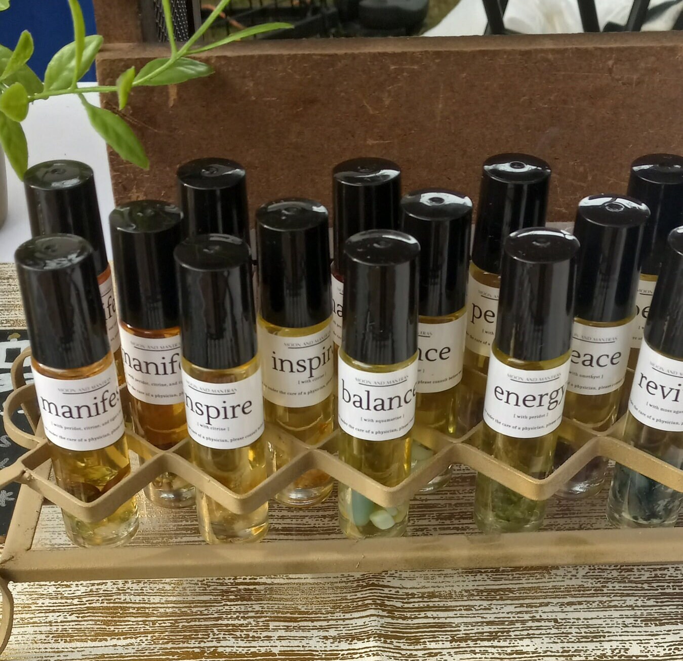 Plant Based Perfume Rollers aromatherapy Essential Oils - Etsy Canada