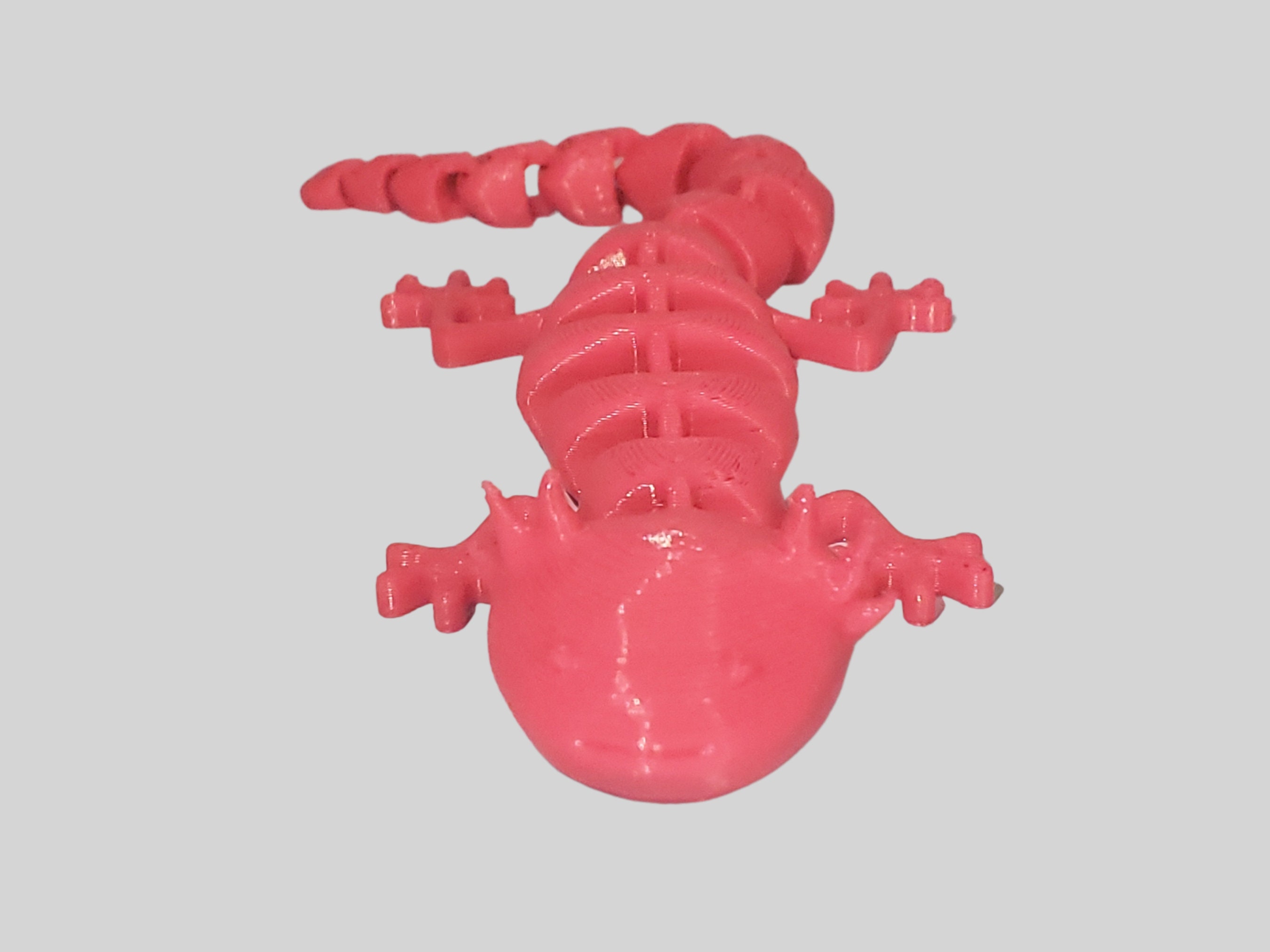3D Movable Sensory Ocean Animals - Etsy