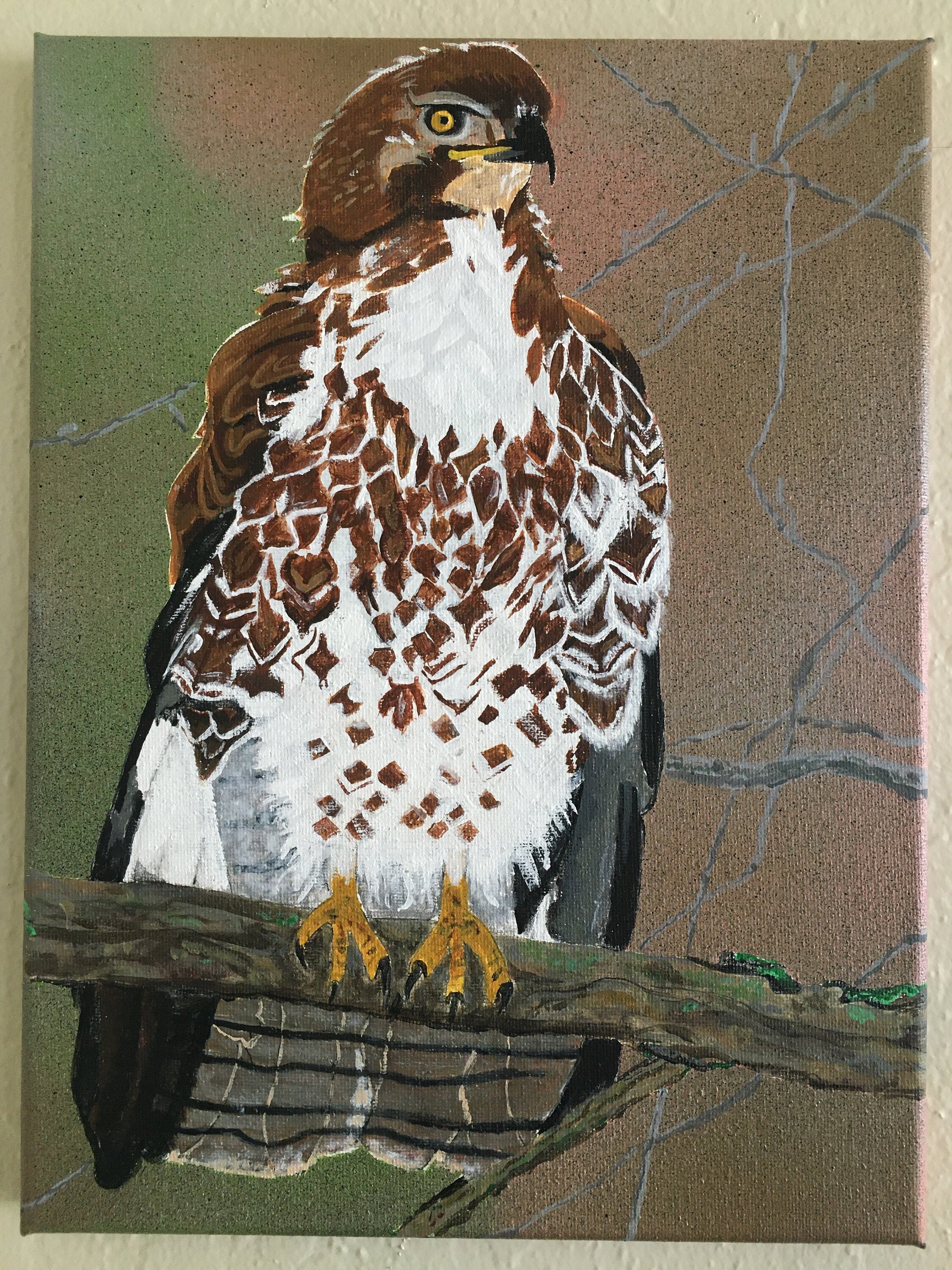 Acrylique Red Tail Hawk Painting Original 9x12 | Etsy