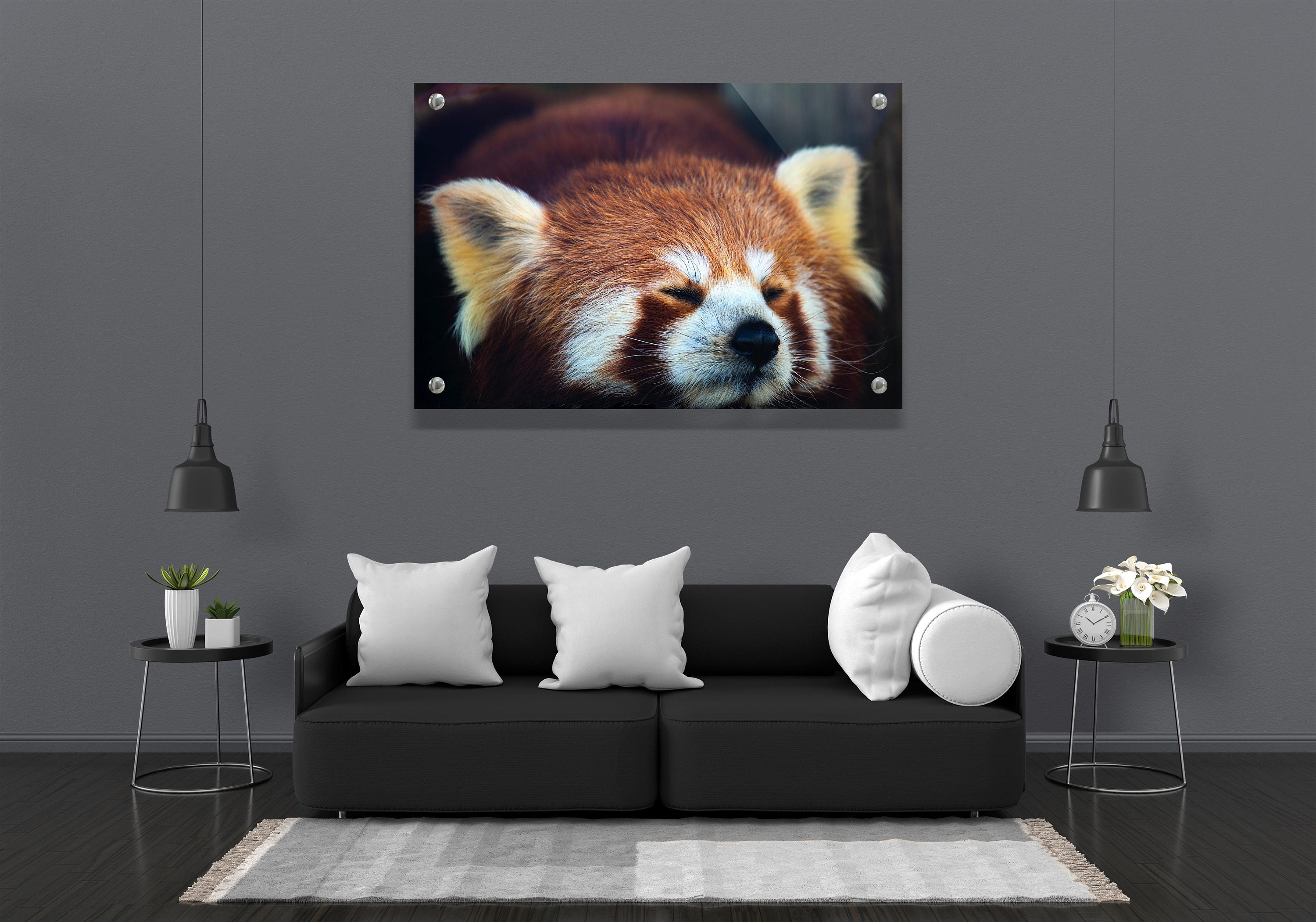 Red Panda Wall Art, Cute Animals Decor, Glass Girl Boys Nursery Decor ...