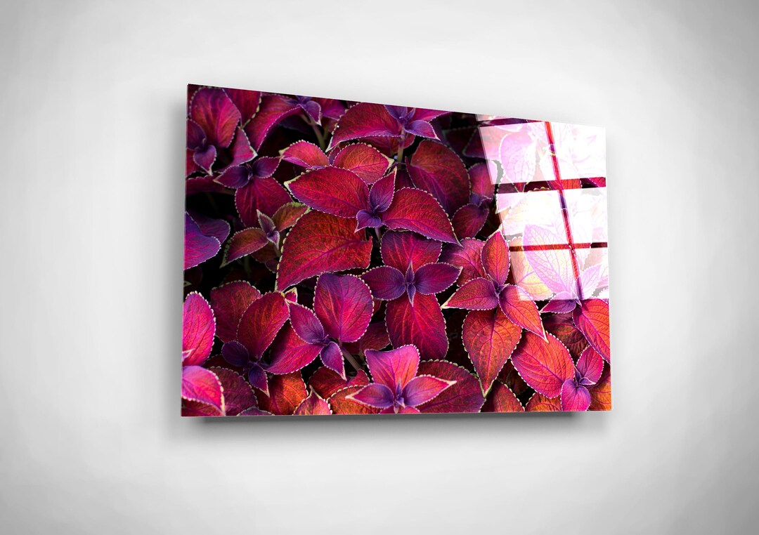 Maroon Wall Art, Red Leaves Print, Botanical Room Decor, Gardener Gift ...