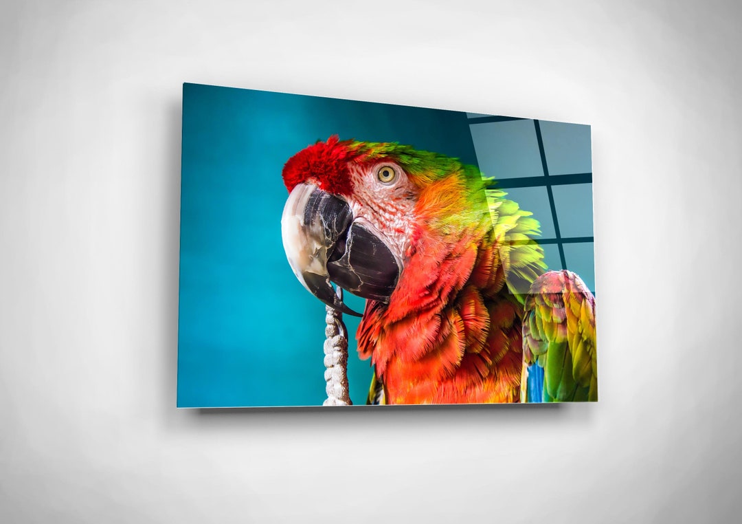 Rainbow Parrot Ara Wall Art, Tropical Birds Decor, Glass Living Room ...