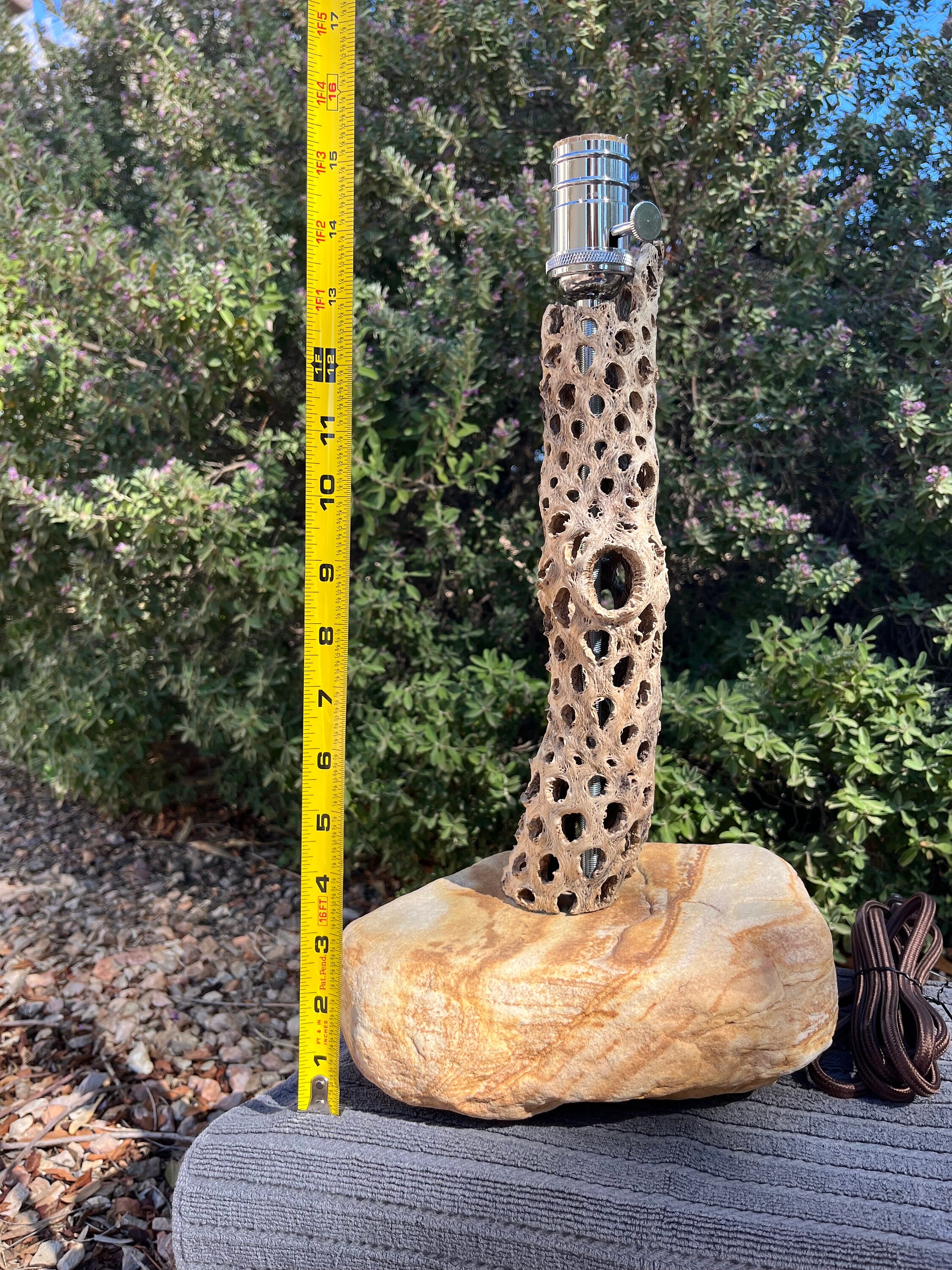 Cholla Cactus Shell Lamp With Desert Sandstone Rock Base, Arizona ...