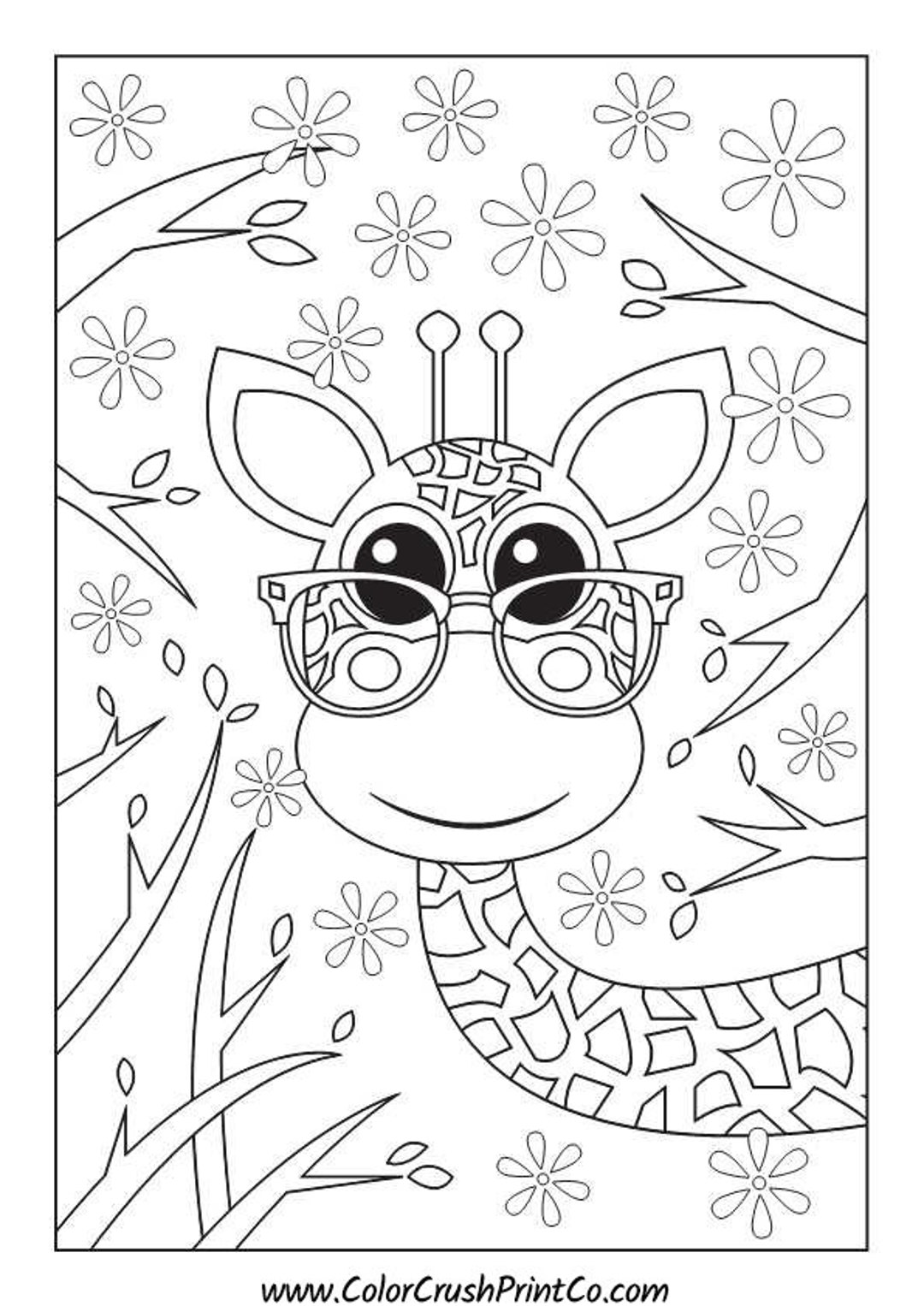 8 Pages Animals With Glasses Coloring Book Pages Bundle 3 Download and ...