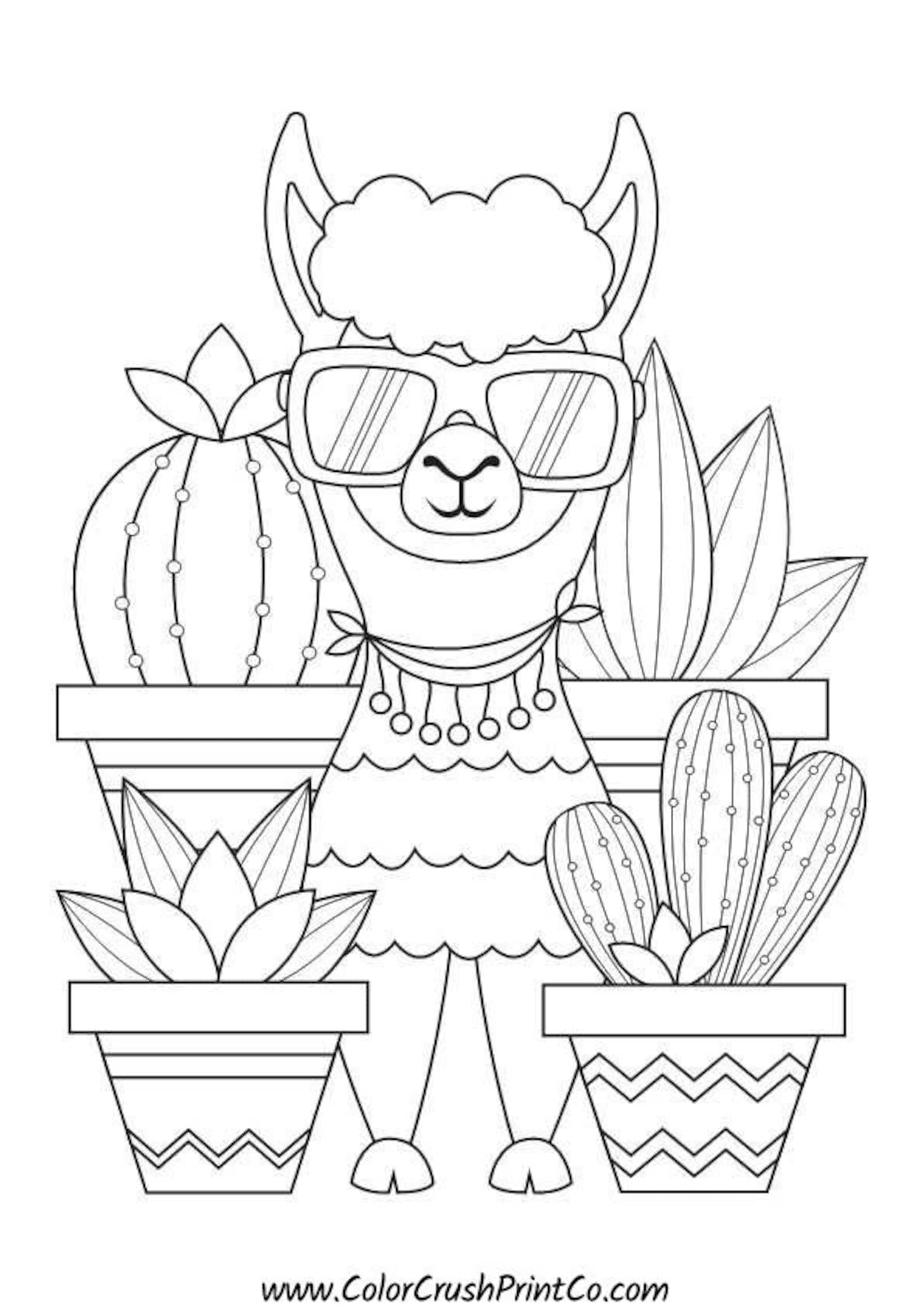8 Pages Animals Llamas Alpacas Coloring Book Pages Bundle 4 Download ...